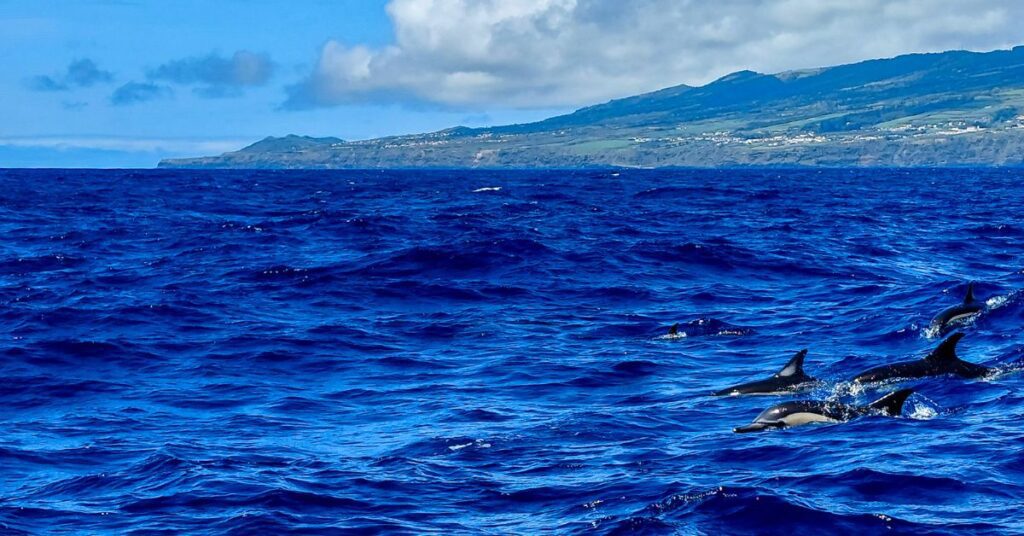 Waar liggen de Azoren? Ontdek het paradijs | Reisavontuur